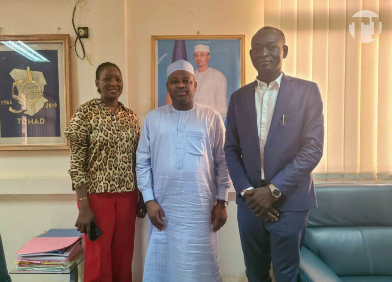 Impulse Tchad et la Mairie de N’Djamena : Collaboration Révolutionnaire ...